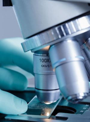 Services | Precise Microscope